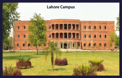 Portfolio | Sajjad Ali